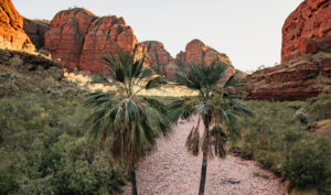 What are the 7 ‘must do’ Wonders of the Kimberley? - ANW Kimberley